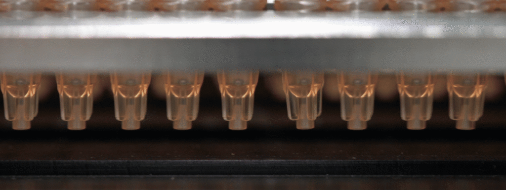 TSK-Laboratory-needles-video - TSK Laboratory International